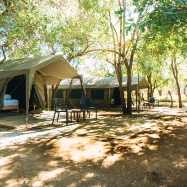 Mazunga Tented Camp in Südafrika - Spottocamp - Spottocamp