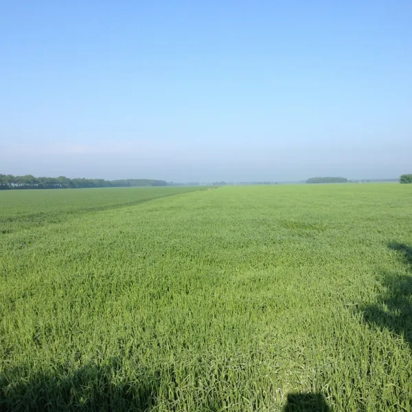 Natuurkampeerterrein Tuincamping Entourage en Pays-Bas - Spottocamp ...