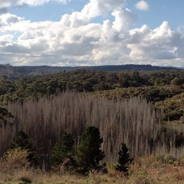 Vaughan Springs Campground in Australien - Spottocamp - Spottocamp