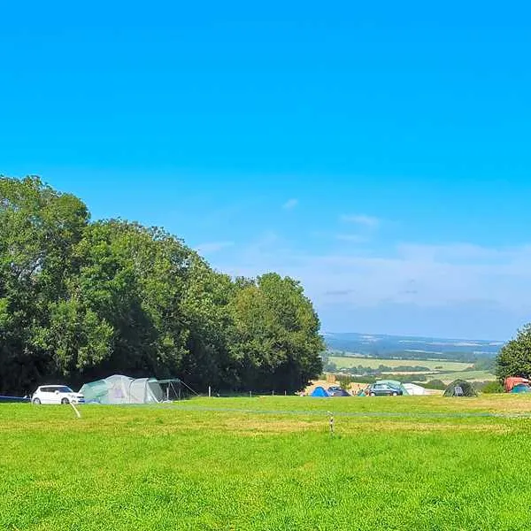 Donkey Down Camping at Culliford Tree en Reino Unido - Spottocamp ...