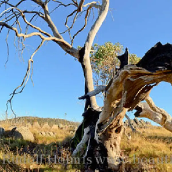Three Mile Dam Campground in Australien - Spottocamp - Spottocamp